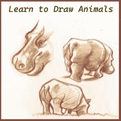 How to Draw Animals